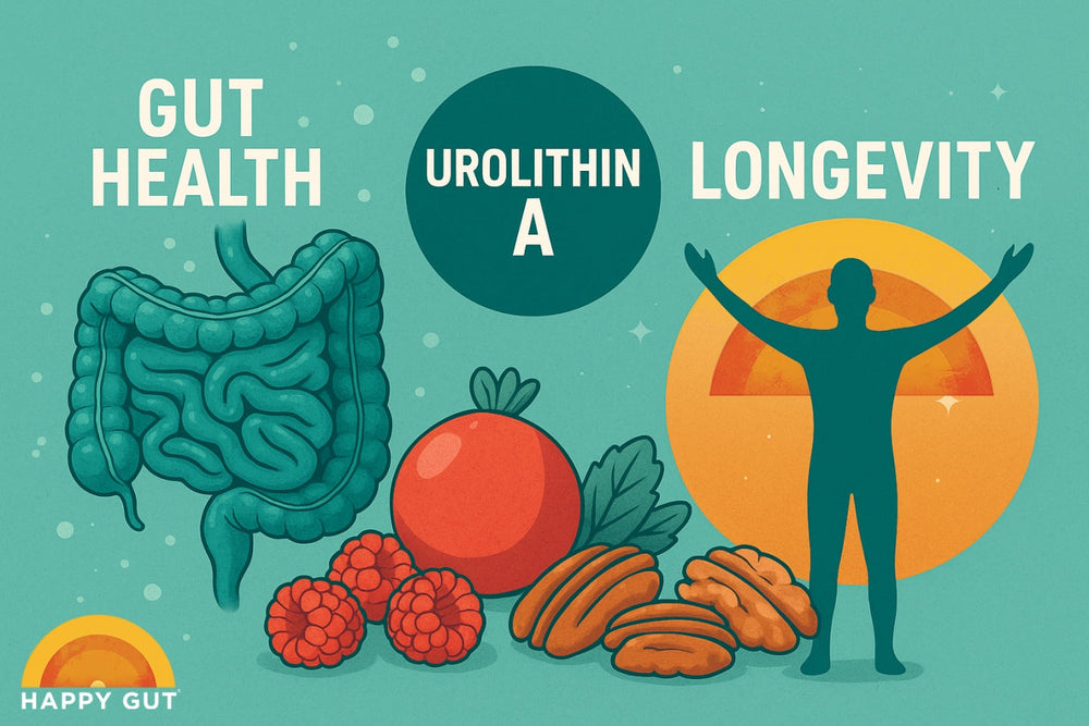 Gut Health Basics – Happy Gut Life